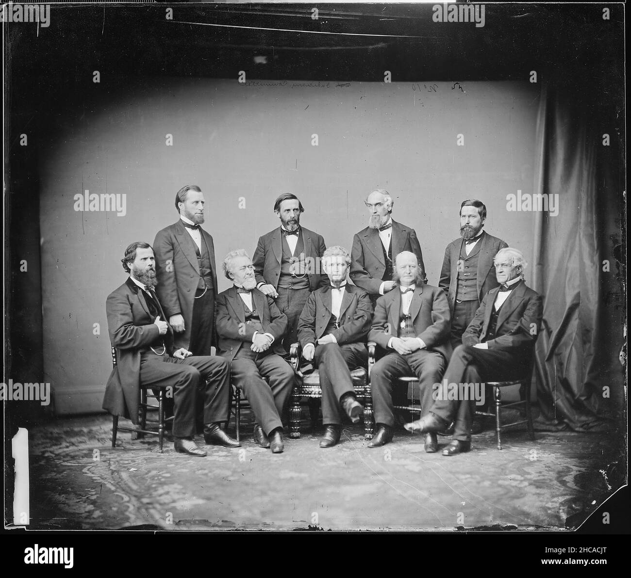 vintage, retro, old, photograph, century, botany, graphics, antique ...