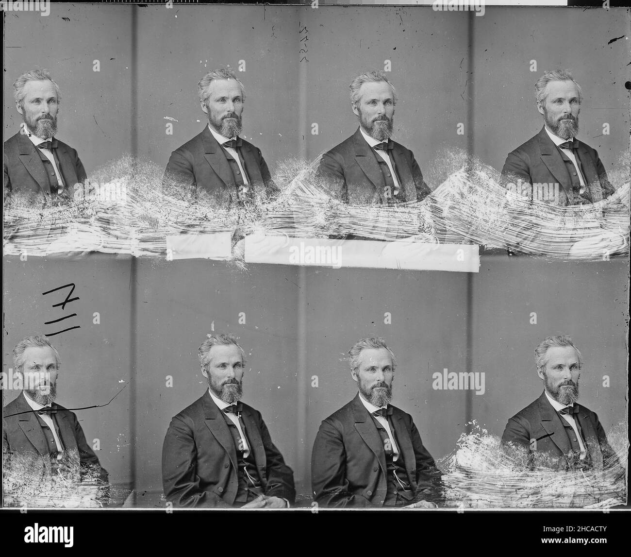 vintage, retro, old, photograph, century, botany, graphics, antique ...