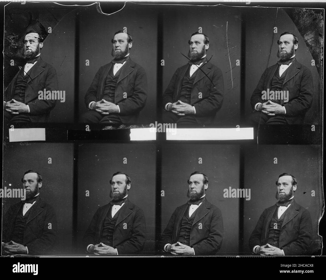 vintage, retro, old, photograph, century, botany, graphics, antique ...