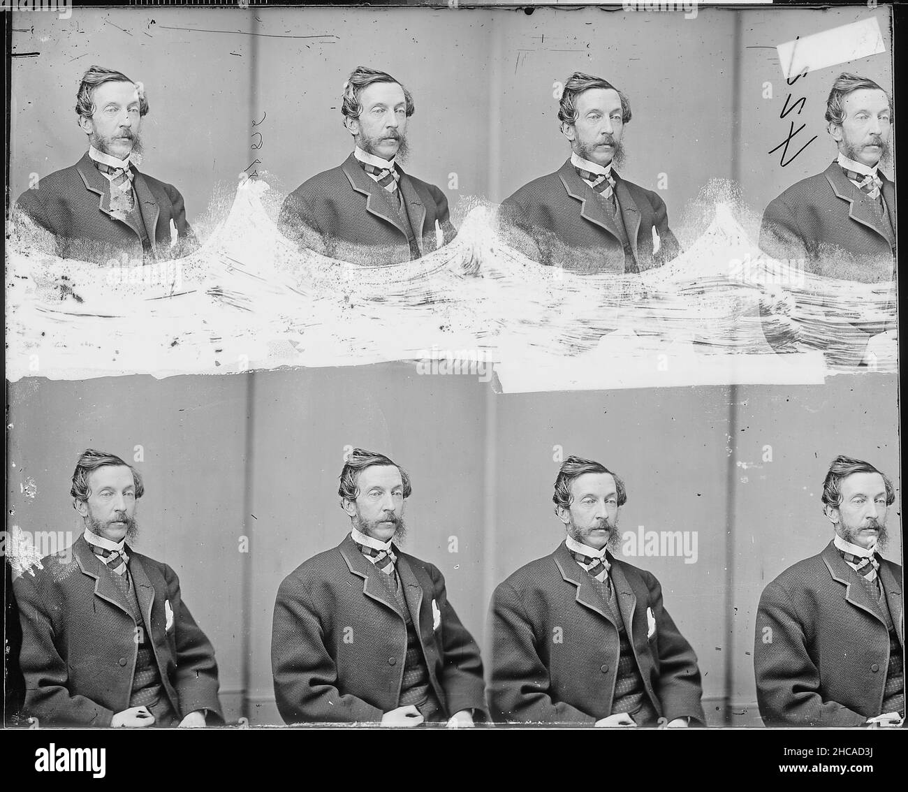 vintage, retro, old, photograph, century, botany, graphics, antique ...