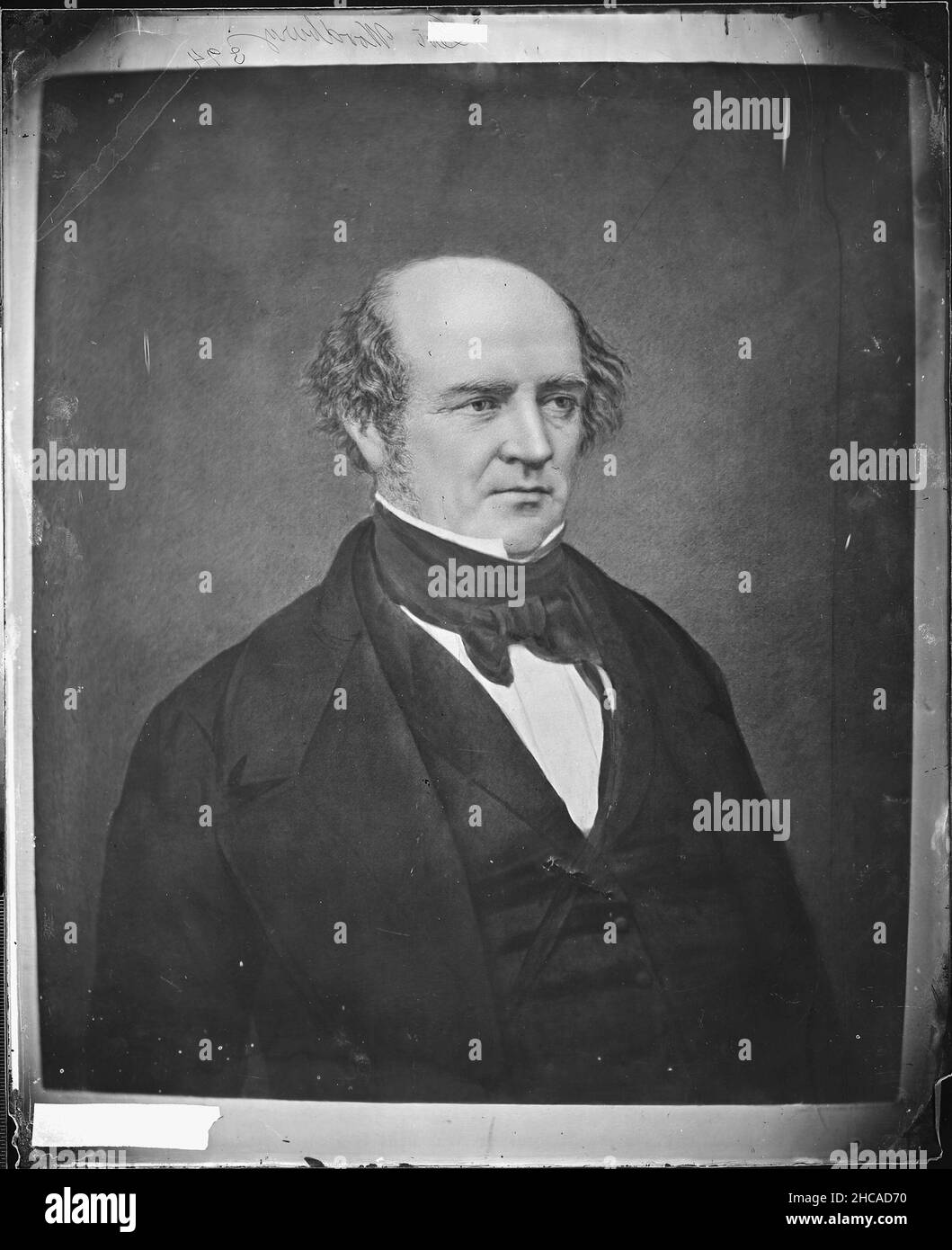 vintage, retro, old, photograph, century, botany, graphics, antique ...