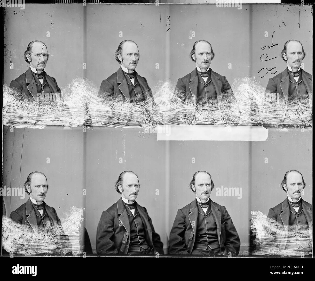 vintage, retro, old, photograph, century, botany, graphics, antique ...