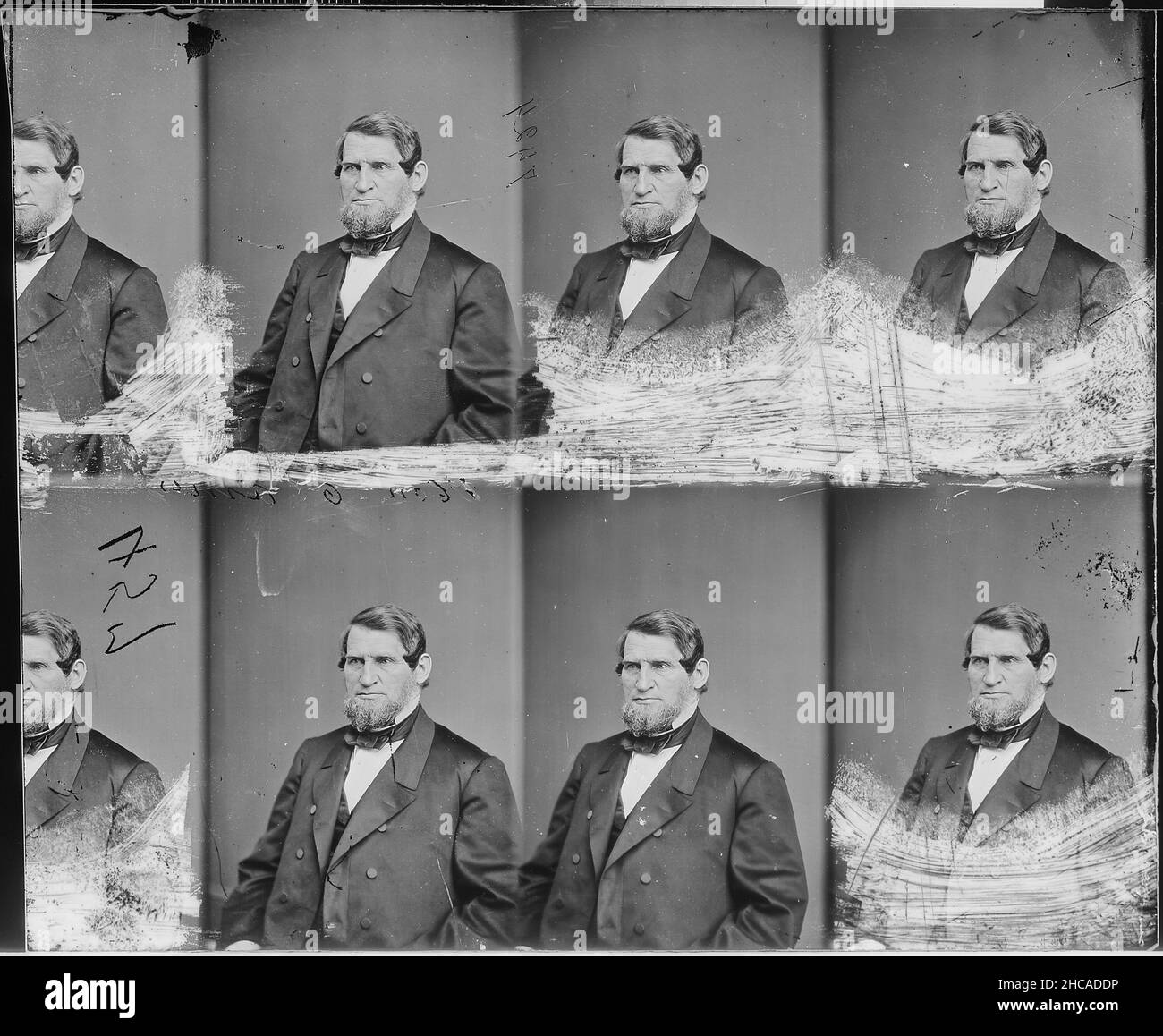 vintage, retro, old, photograph, century, botany, graphics, antique ...