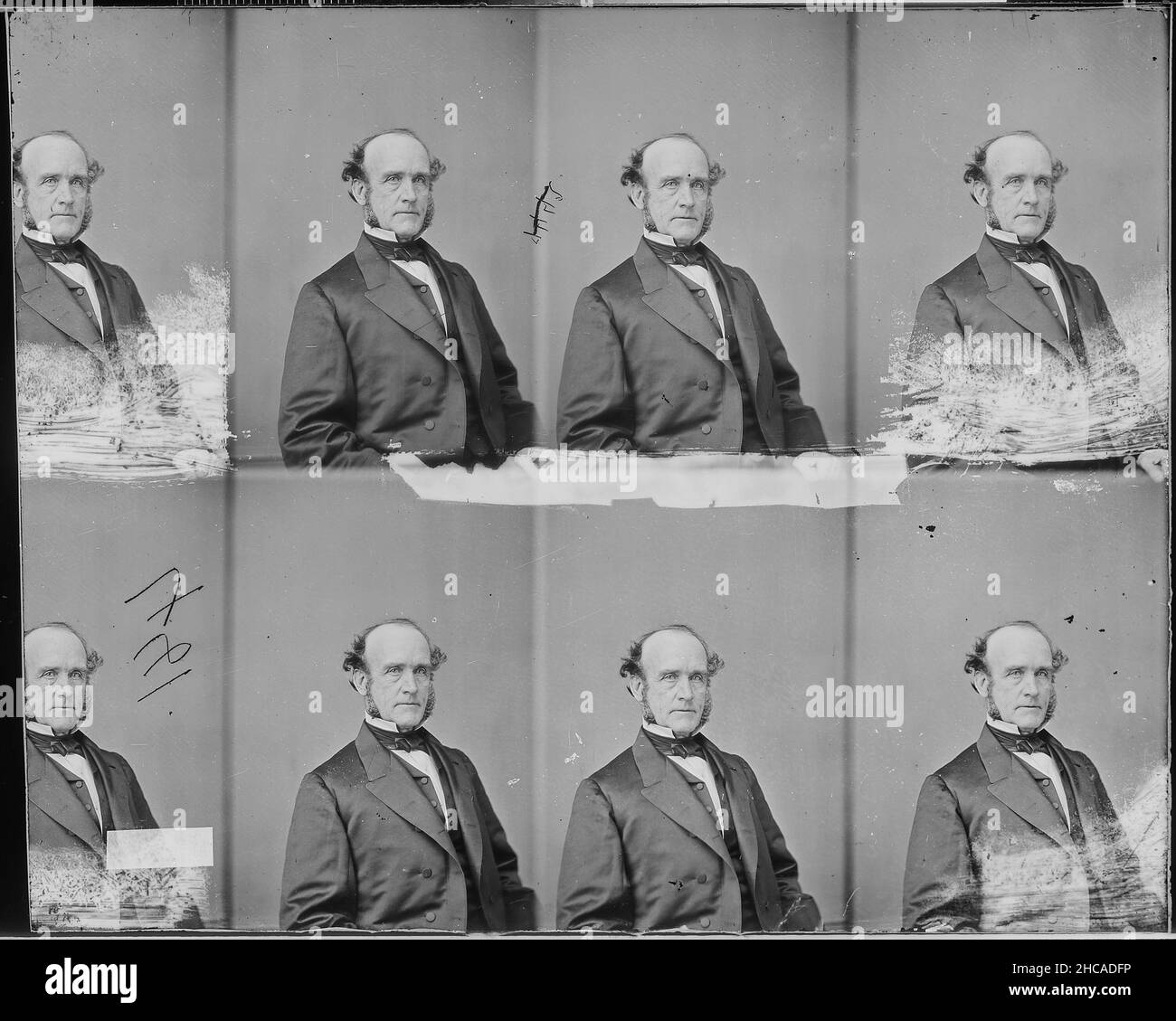 vintage, retro, old, photograph, century, botany, graphics, antique ...