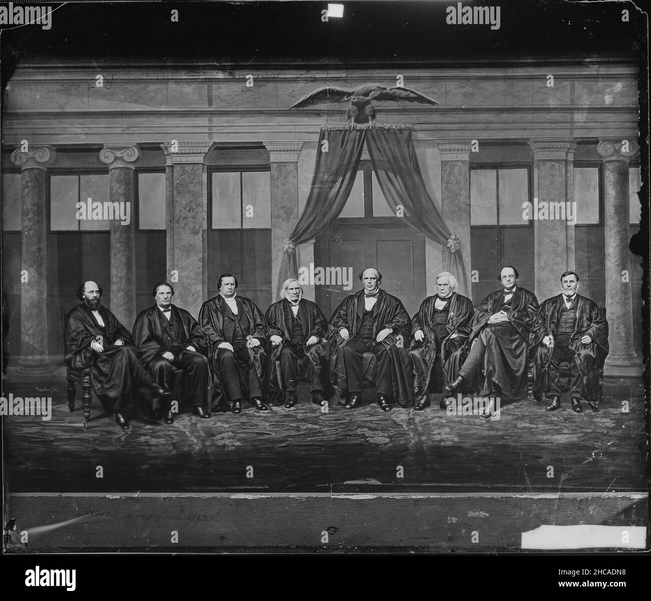 vintage, retro, old, photograph, century, botany, graphics, antique ...