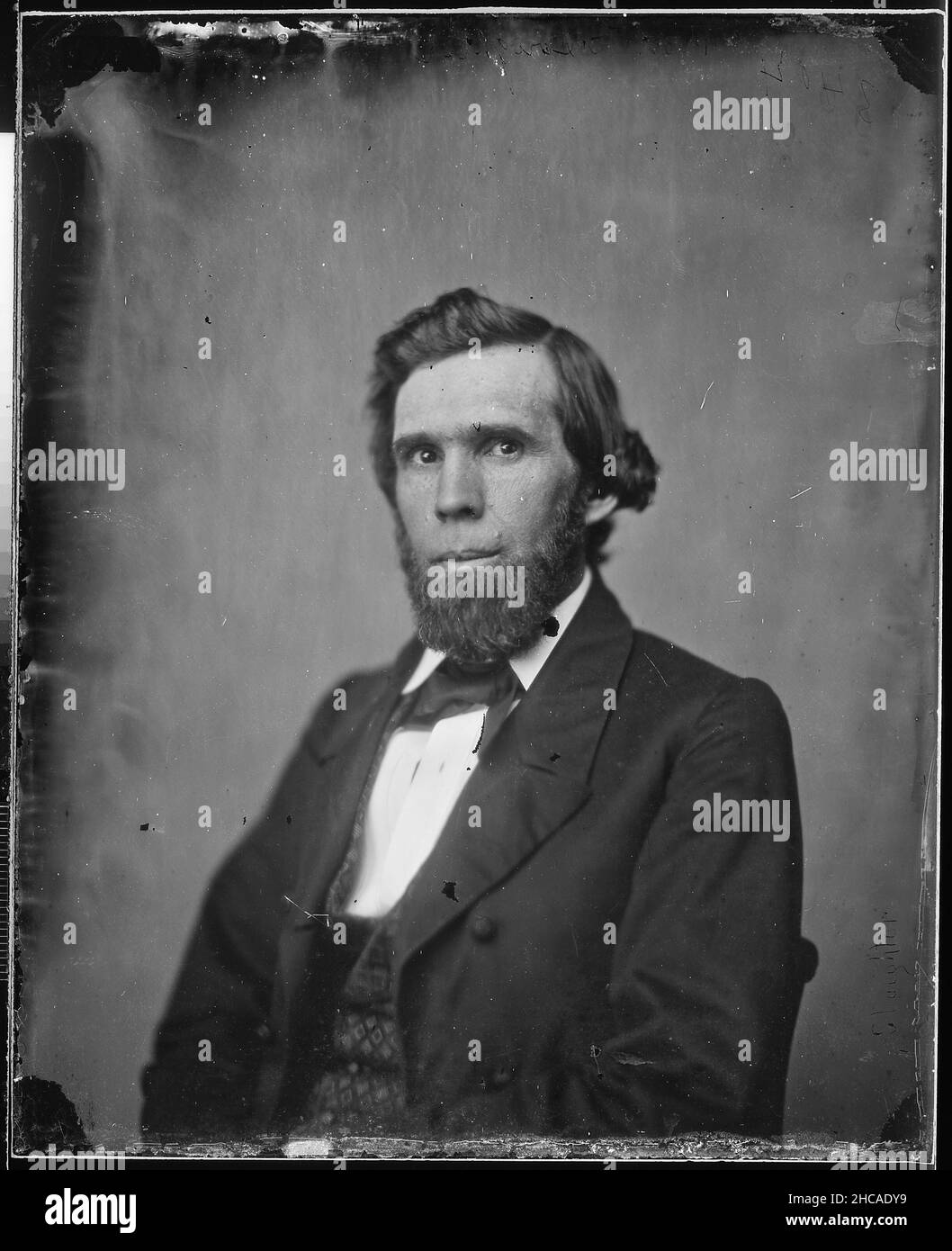 vintage, retro, old, photograph, century, botany, graphics, antique ...