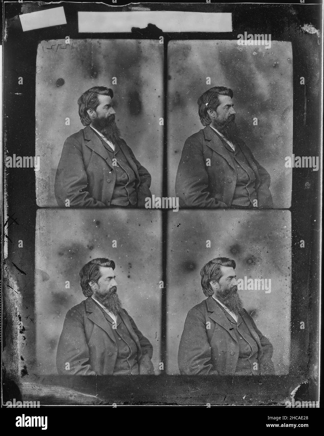 vintage, retro, old, photograph, century, botany, graphics, antique ...