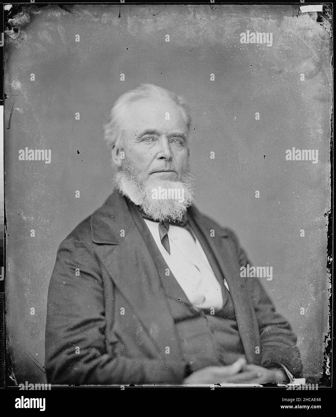 vintage, retro, old, photograph, century, botany, graphics, antique ...