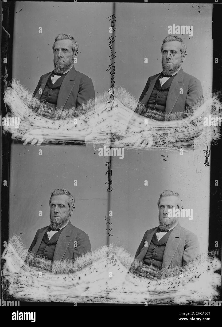 vintage, retro, old, photograph, century, botany, graphics, antique ...