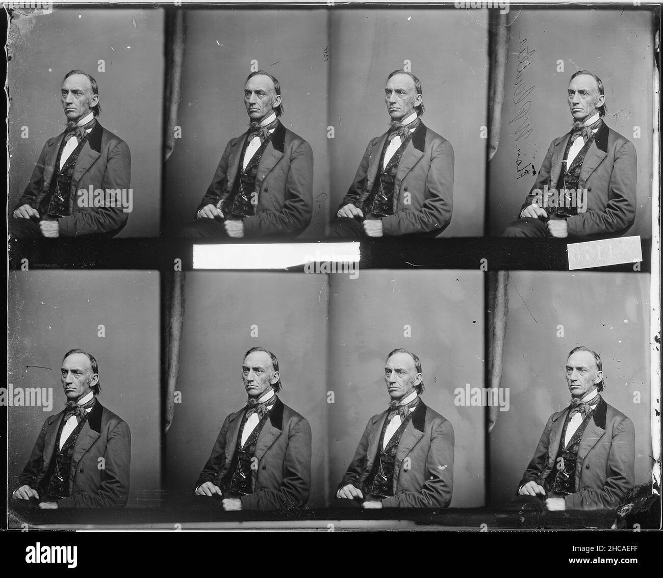 vintage, retro, old, photograph, century, botany, graphics, antique ...