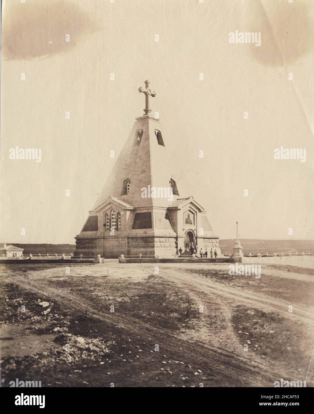 vintage, retro, old, photograph, century, botany, graphics, antique ...