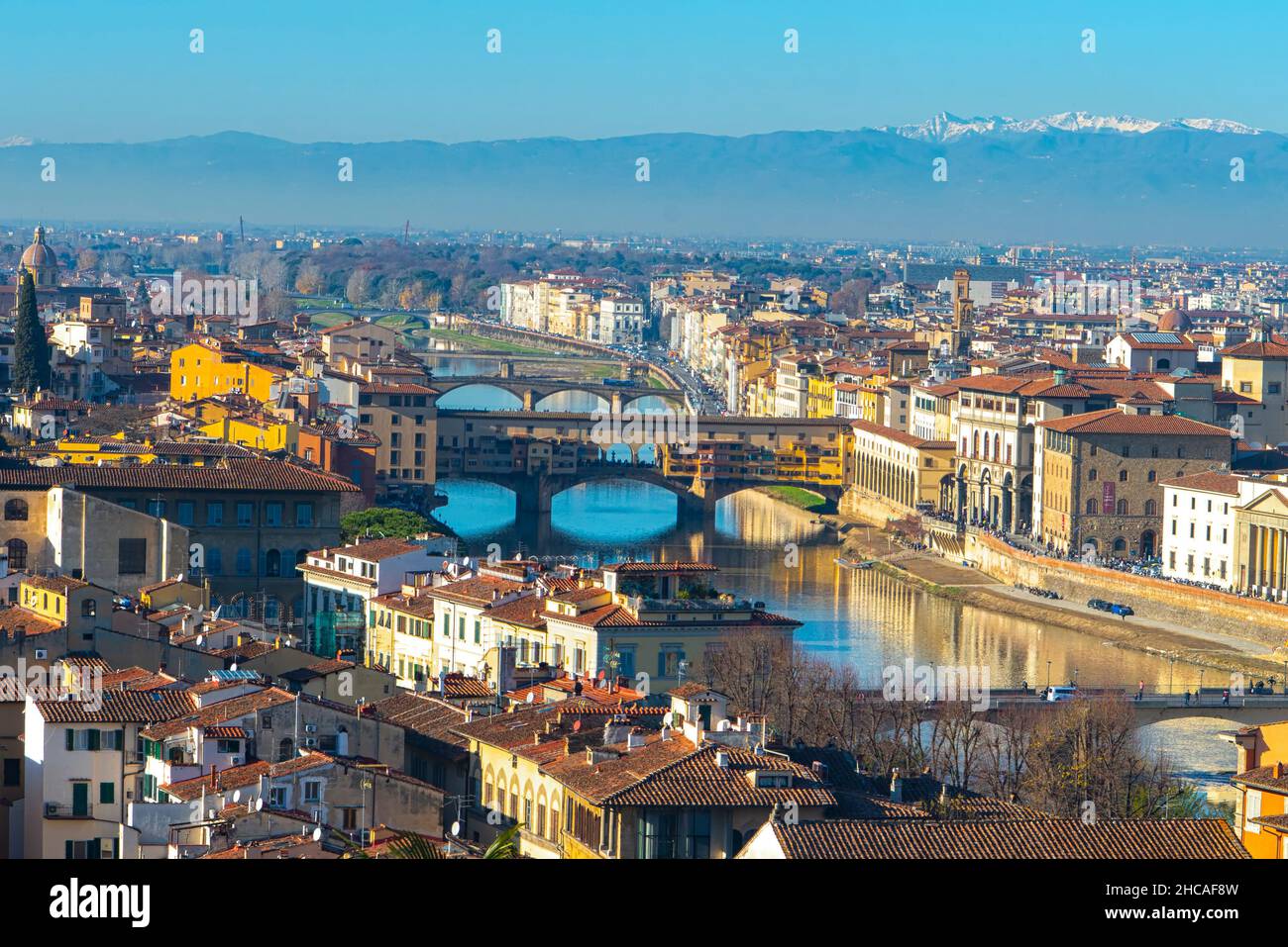 Alighieri wine hi-res stock photography and images - Alamy