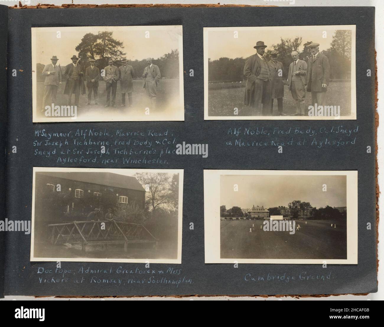 vintage, retro, old, photograph, century, botany, graphics, antique ...