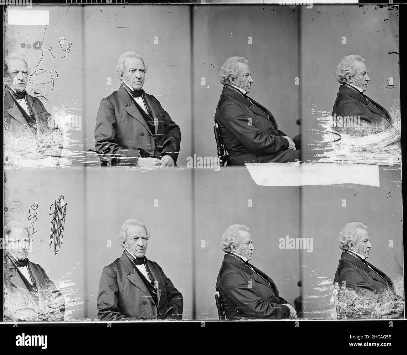 vintage, retro, old, photograph, century, botany, graphics, antique ...