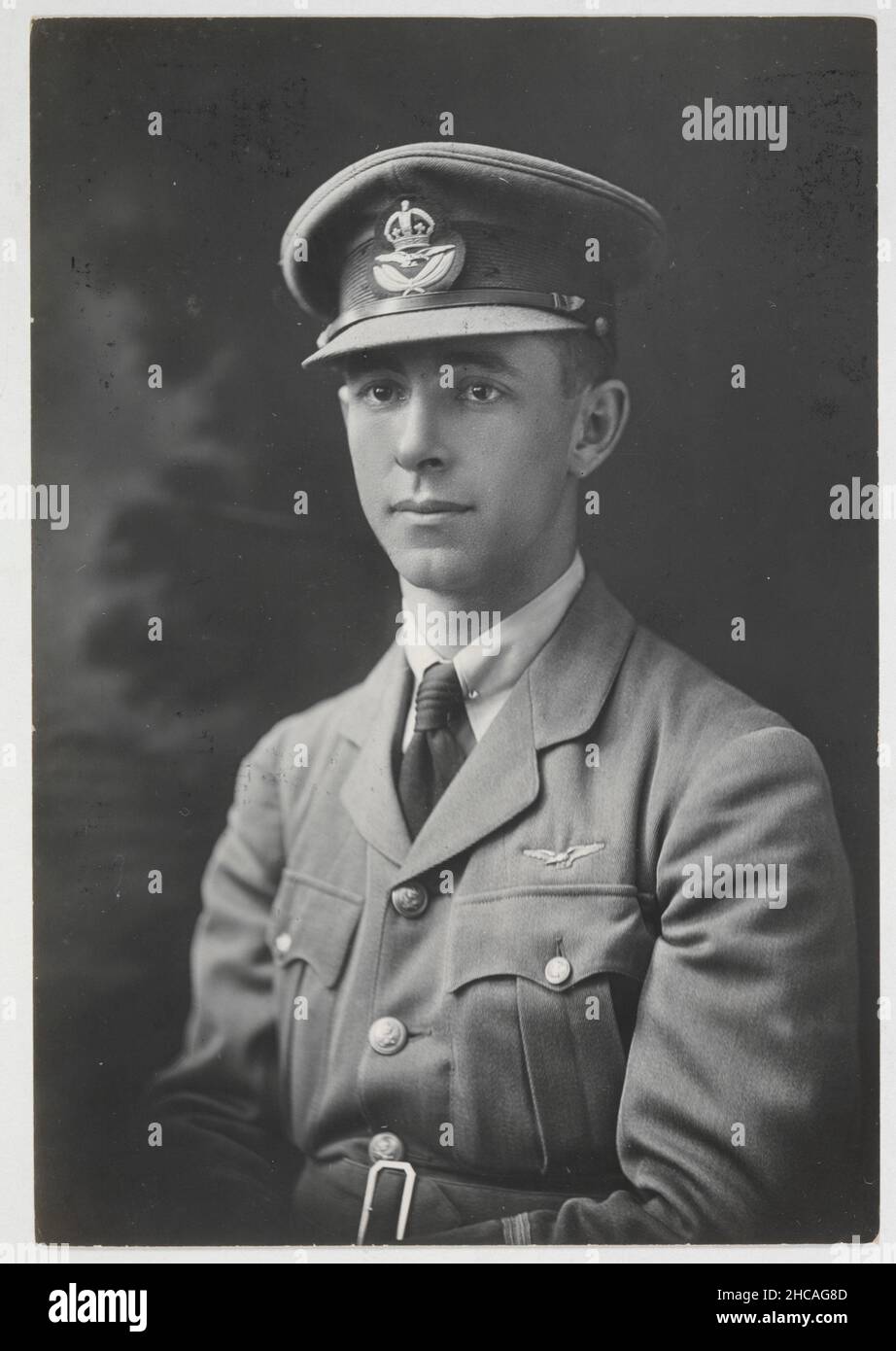 vintage, retro, old, photograph, century, botany, graphics, antique ...