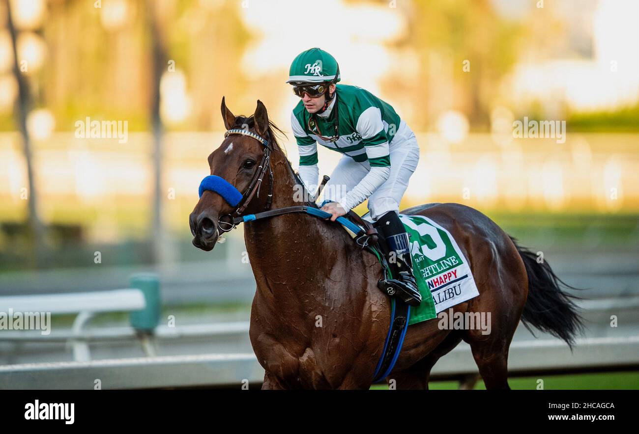 Flightline horse hi-res stock photography and images - Alamy