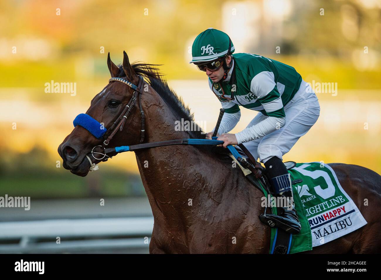Flightline horse hi-res stock photography and images - Alamy