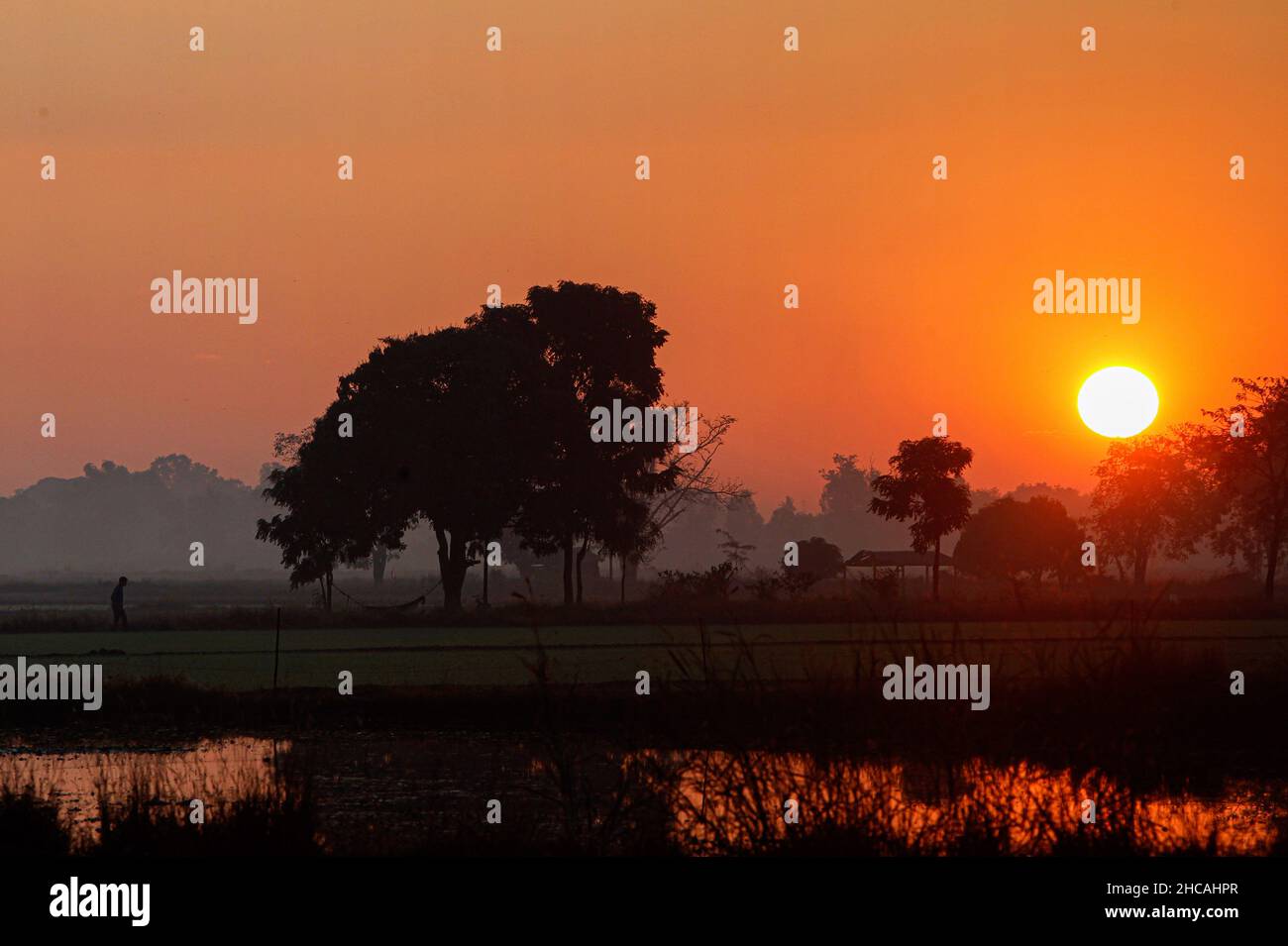 A farmer works at his rice field during sun rise. (Photo by Chaiwat ...