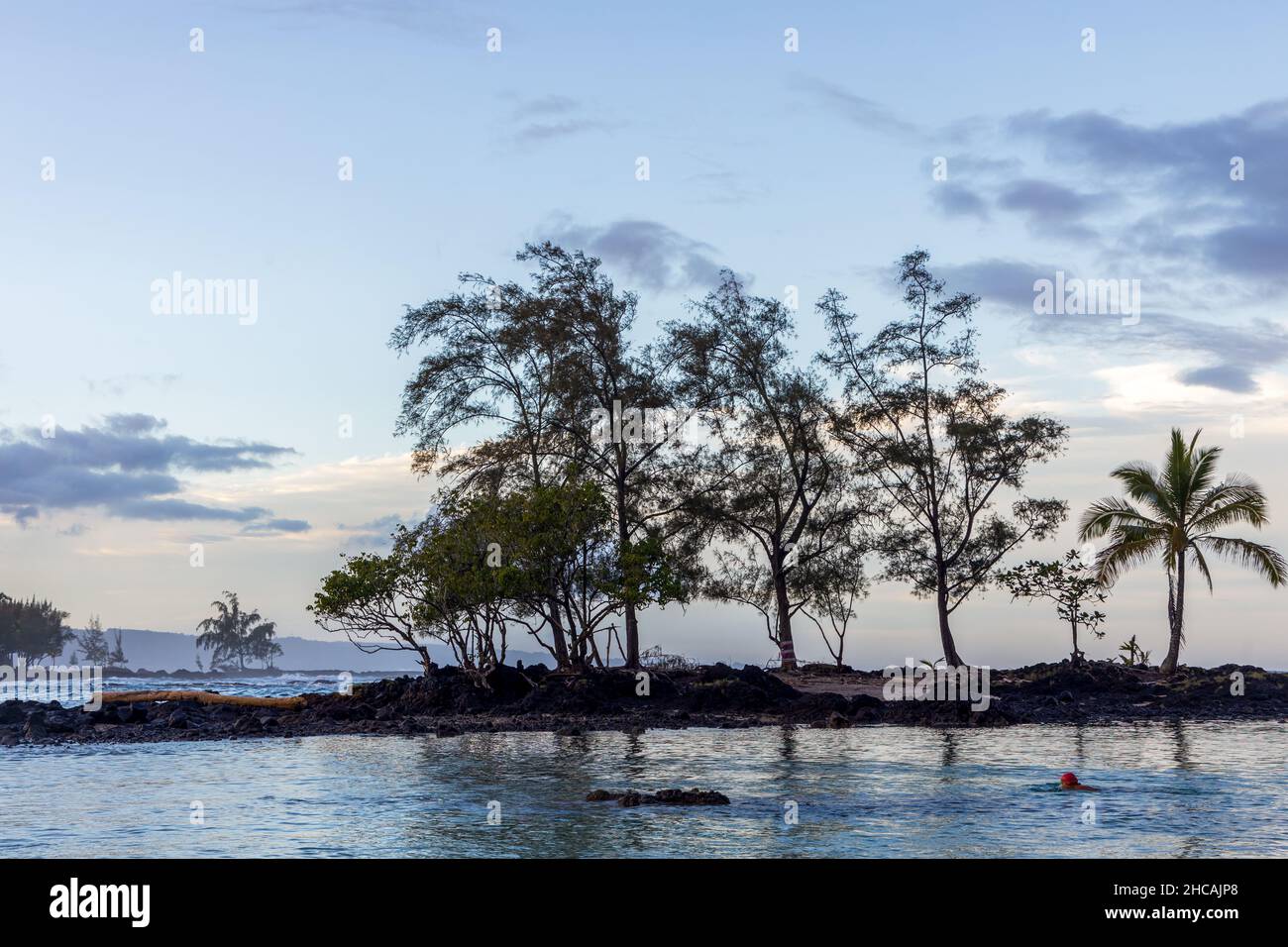 Hilo beach palm hi-res stock photography and images - Alamy
