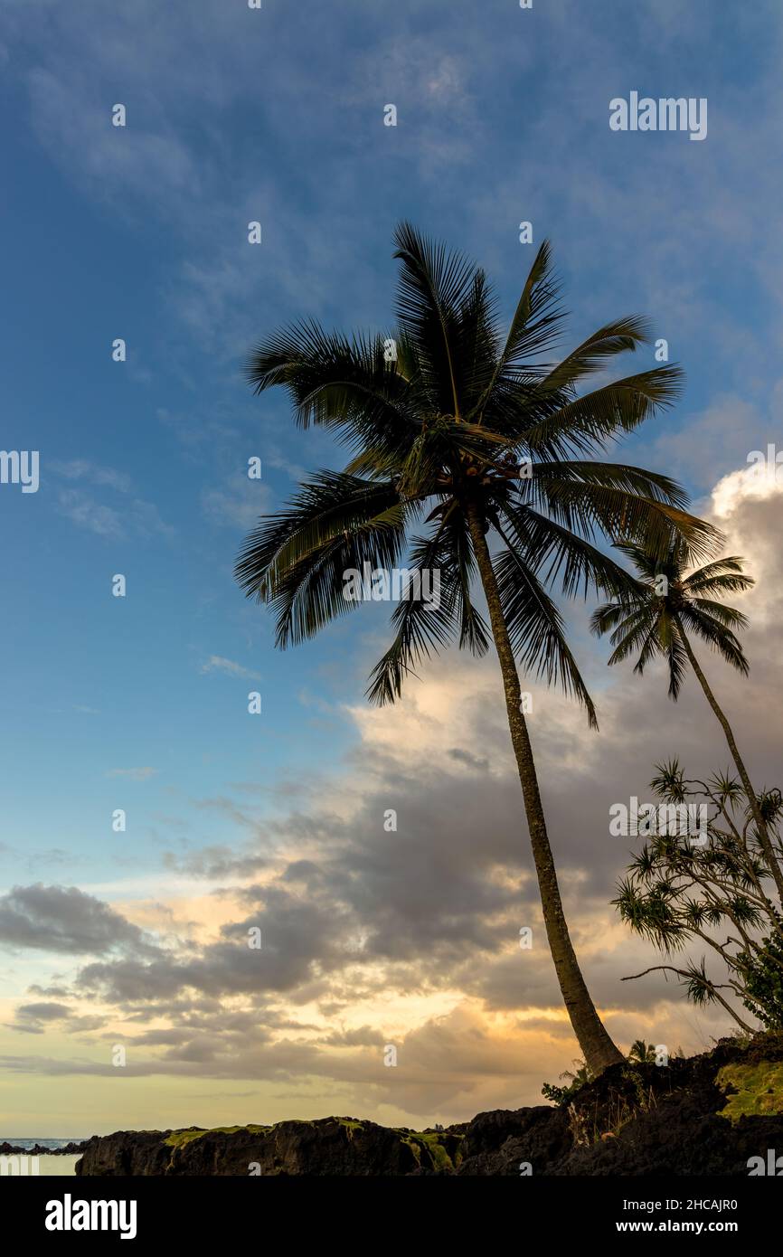 Beautiful Carlsmith Beach Park in Hilo, Hawaii, on sunset Stock Photo ...
