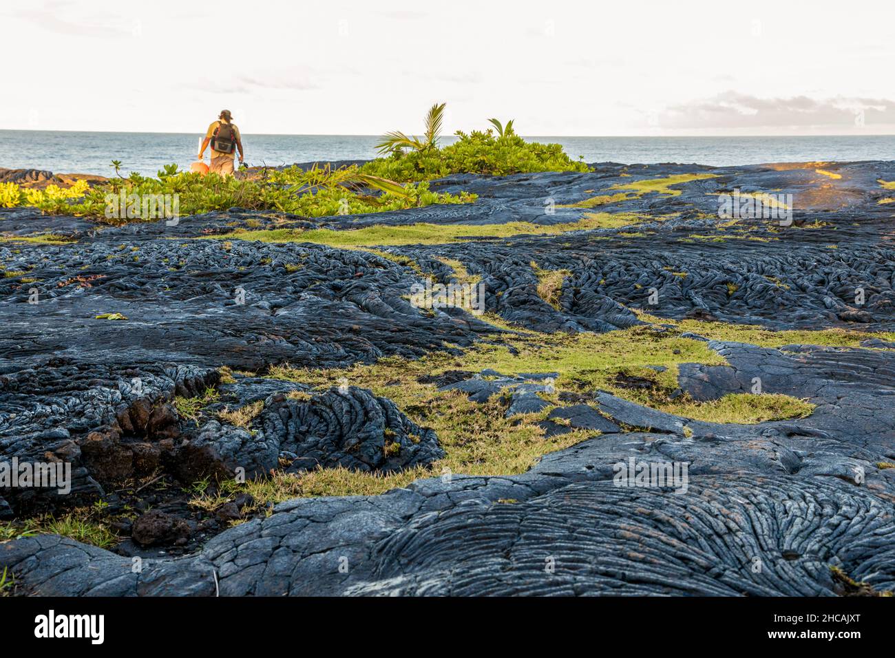 Hawaii cliff house hi-res stock photography and images - Alamy