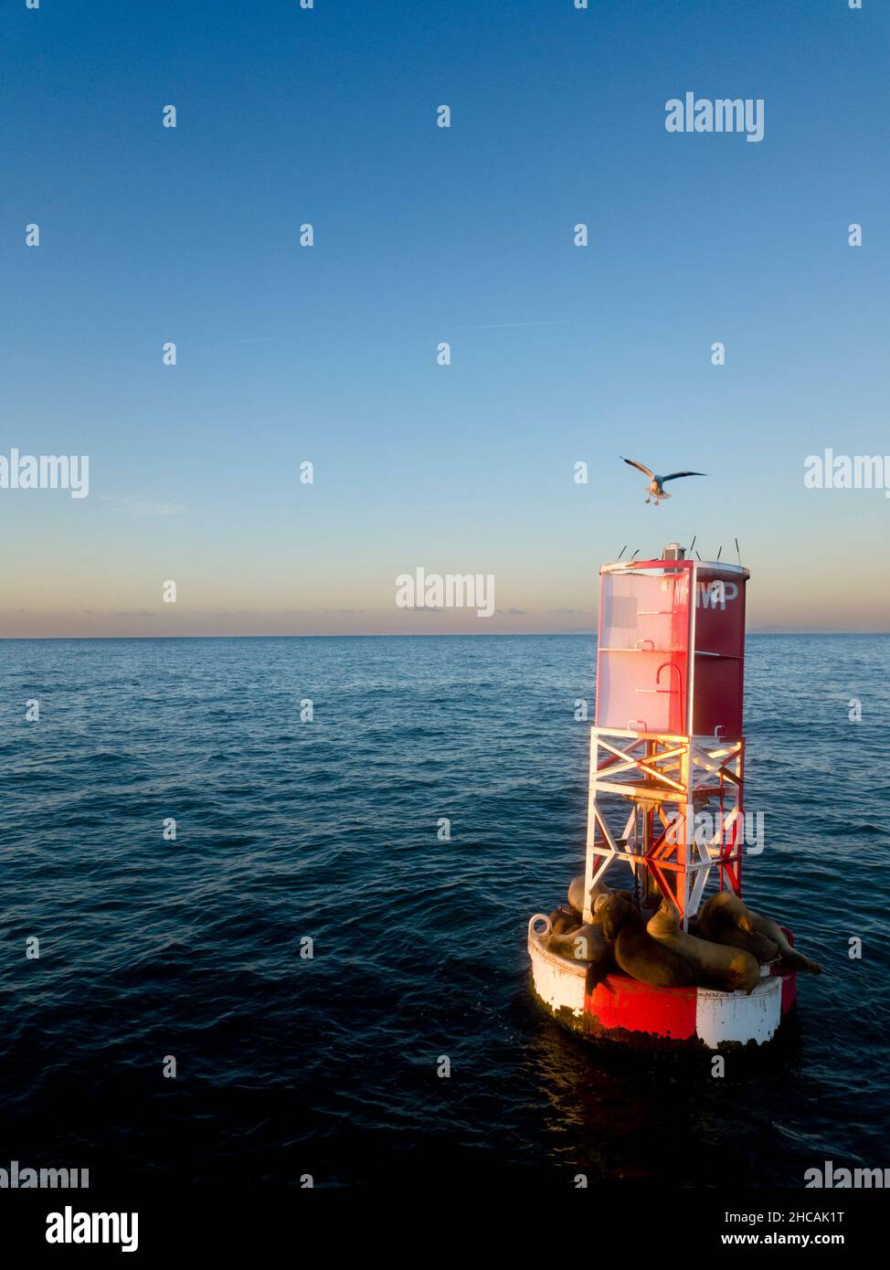 Bell buoy hi-res stock photography and images - Alamy