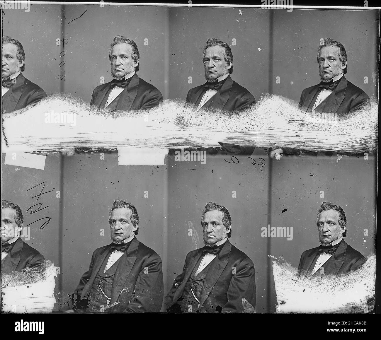 vintage, retro, old, photograph, century, botany, graphics, antique ...