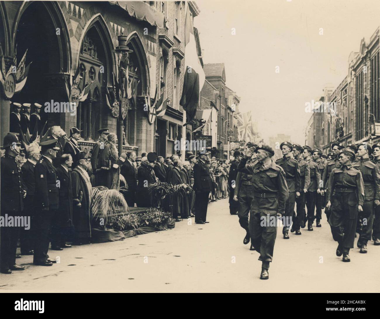vintage, retro, old, photograph, century, botany, graphics, antique ...