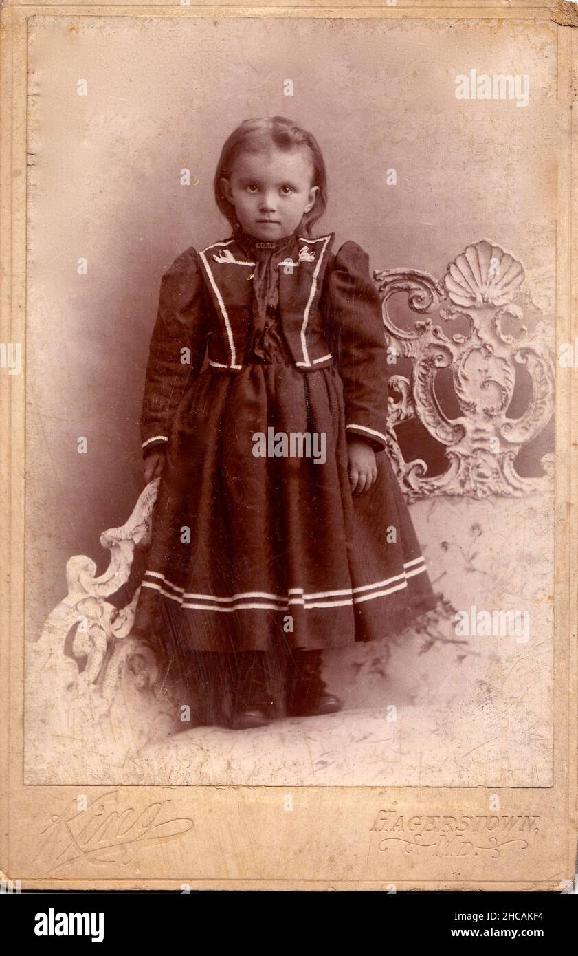 vintage, retro, old, photograph, century, botany, graphics, antique ...