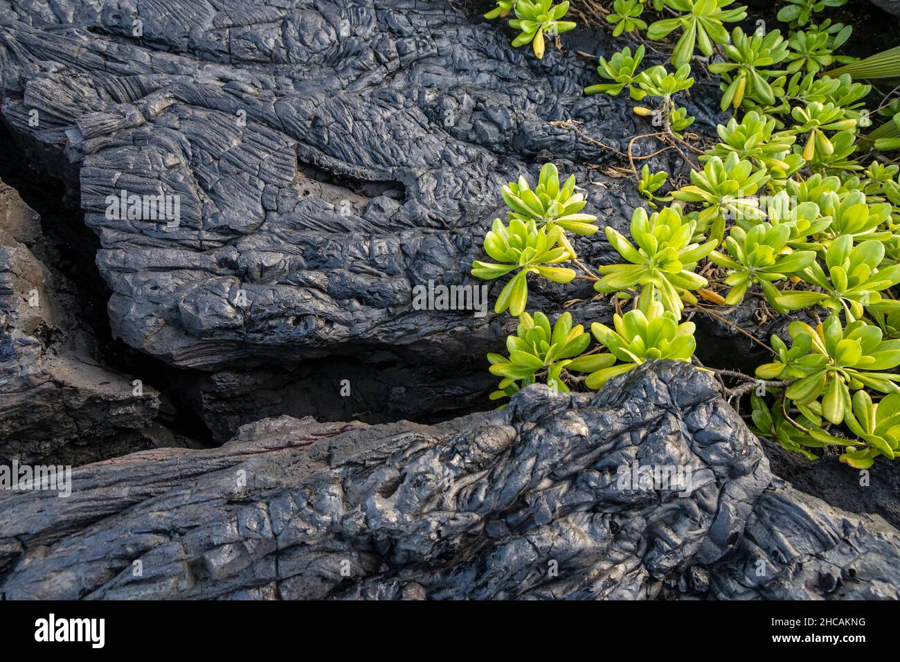 Lava background on Paradise Cliffs, Hilo, Big Island, Hawaii. Smooth ...