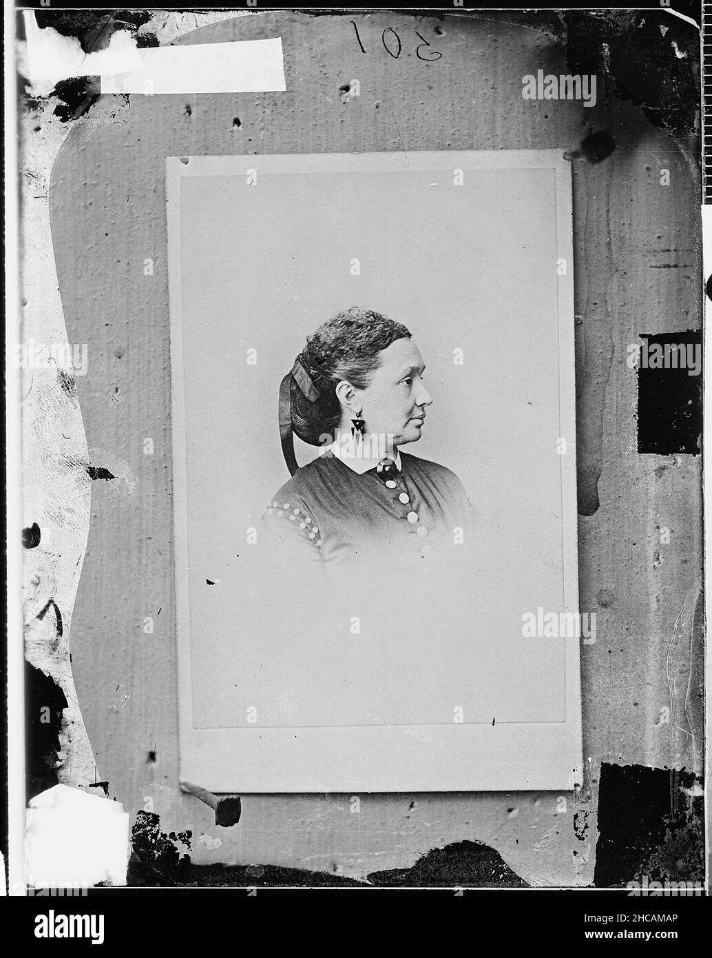 vintage, retro, old, photograph, century, botany, graphics, antique ...