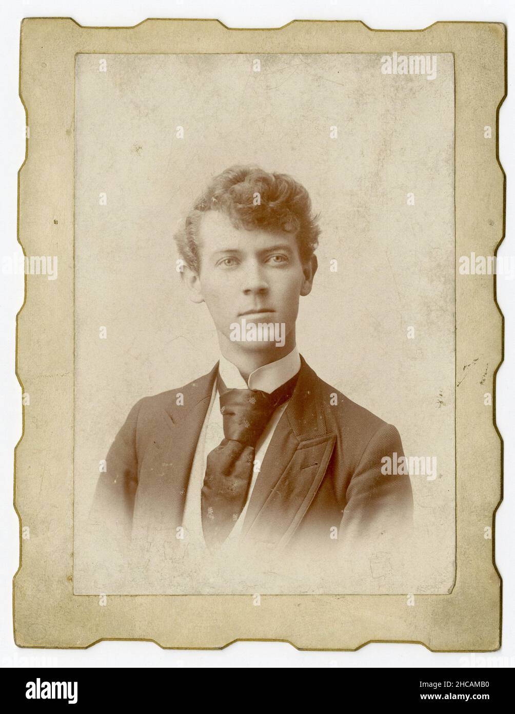 vintage, retro, old, photograph, century, botany, graphics, antique ...