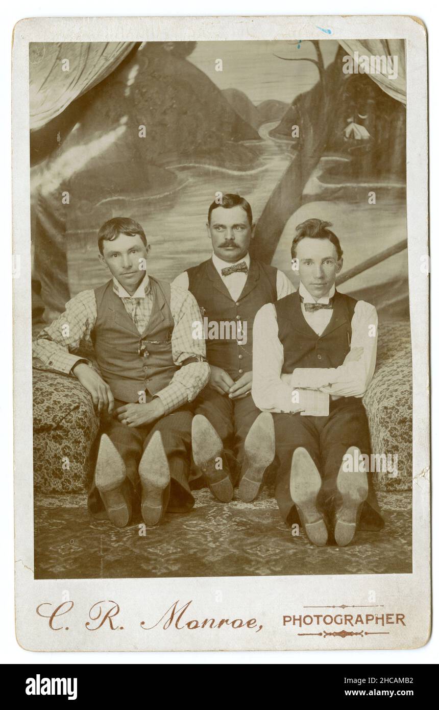 vintage, retro, old, photograph, century, botany, graphics, antique ...