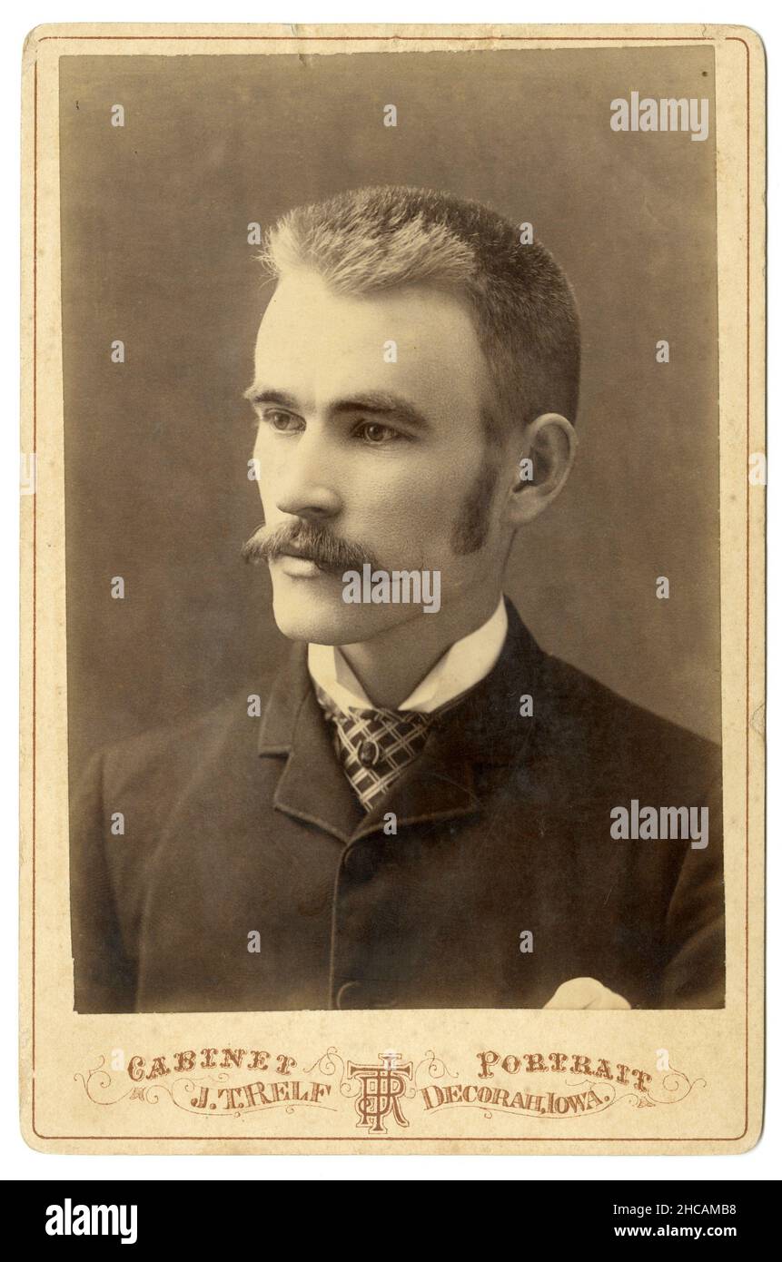 vintage, retro, old, photograph, century, botany, graphics, antique ...