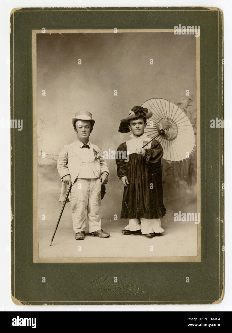 vintage, retro, old, photograph, century, botany, graphics, antique ...