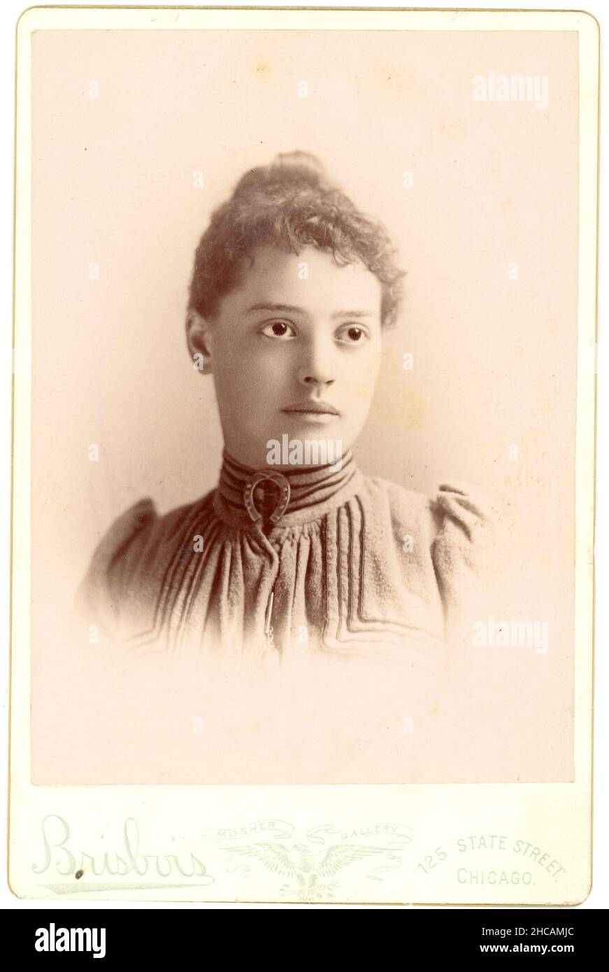 vintage, retro, old, photograph, century, botany, graphics, antique ...