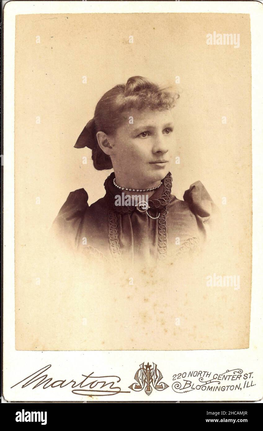 vintage, retro, old, photograph, century, botany, graphics, antique ...