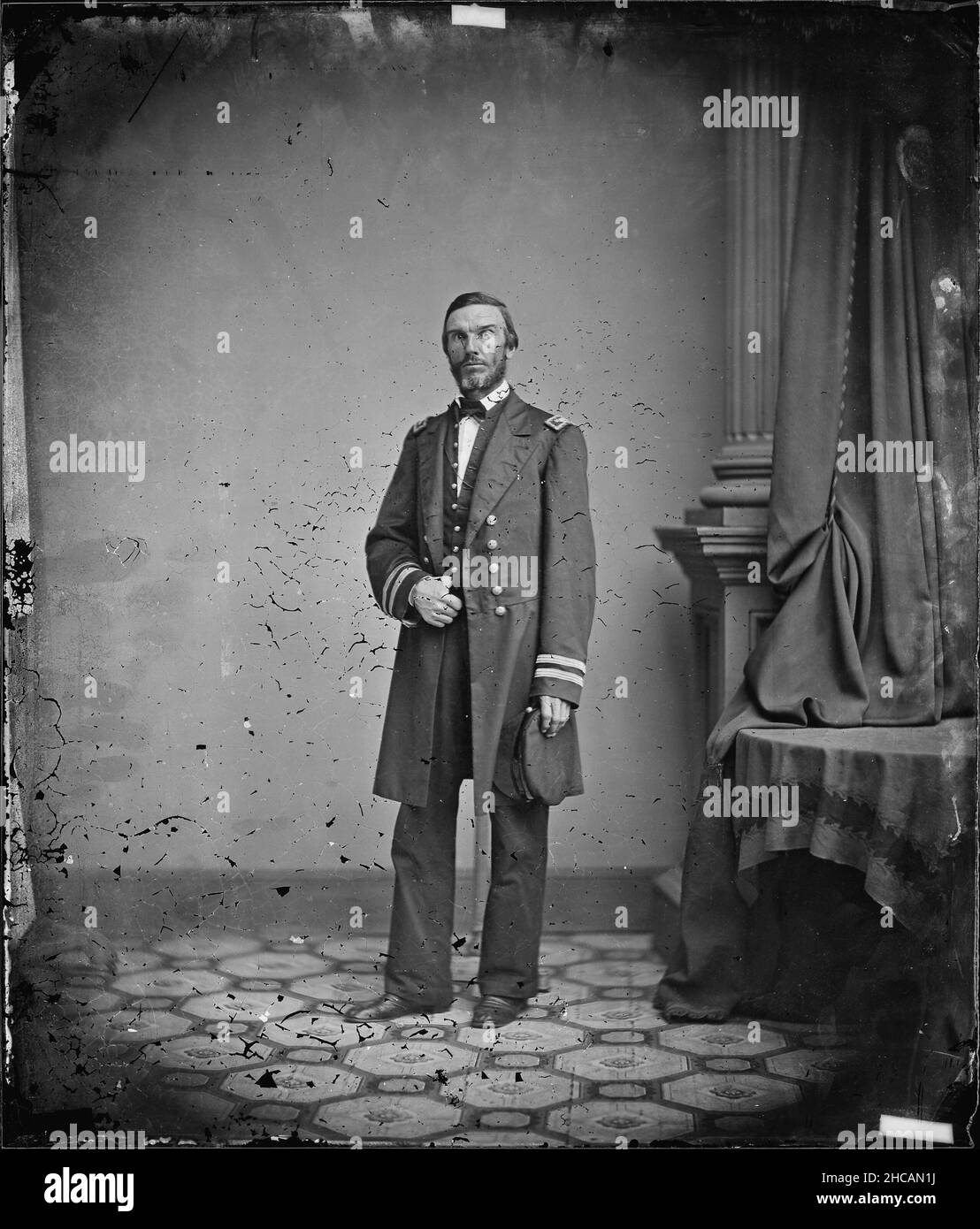 vintage, retro, old, photograph, century, botany, graphics, antique ...