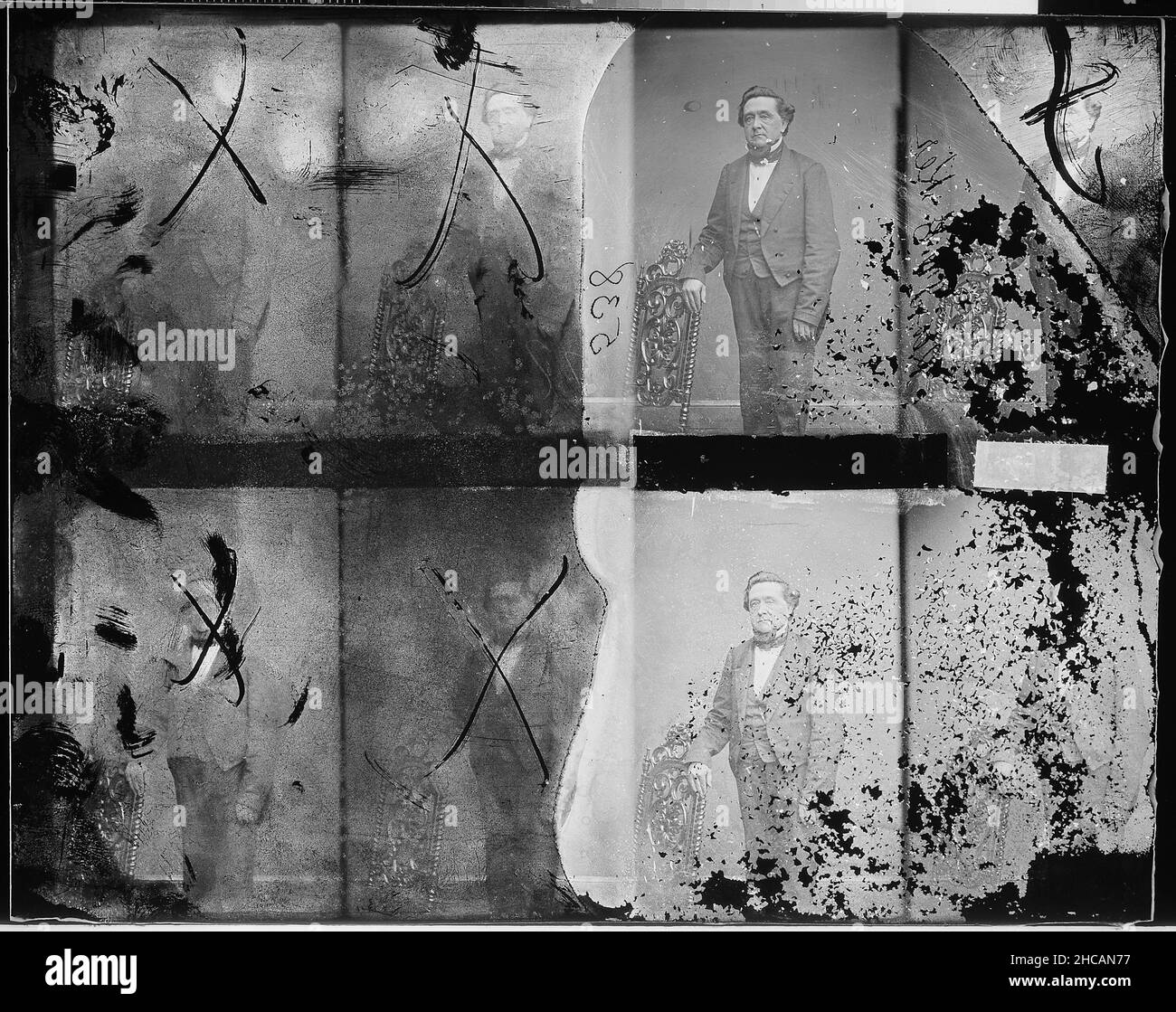 vintage, retro, old, photograph, century, botany, graphics, antique ...