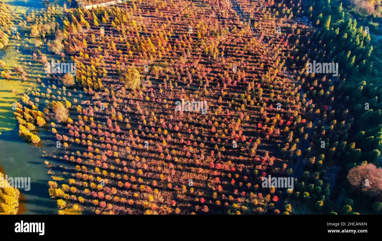 KUNMING, CHINA - NOVEMBER 7, 2021 - An aerial photo taken on Nov. 7 ...