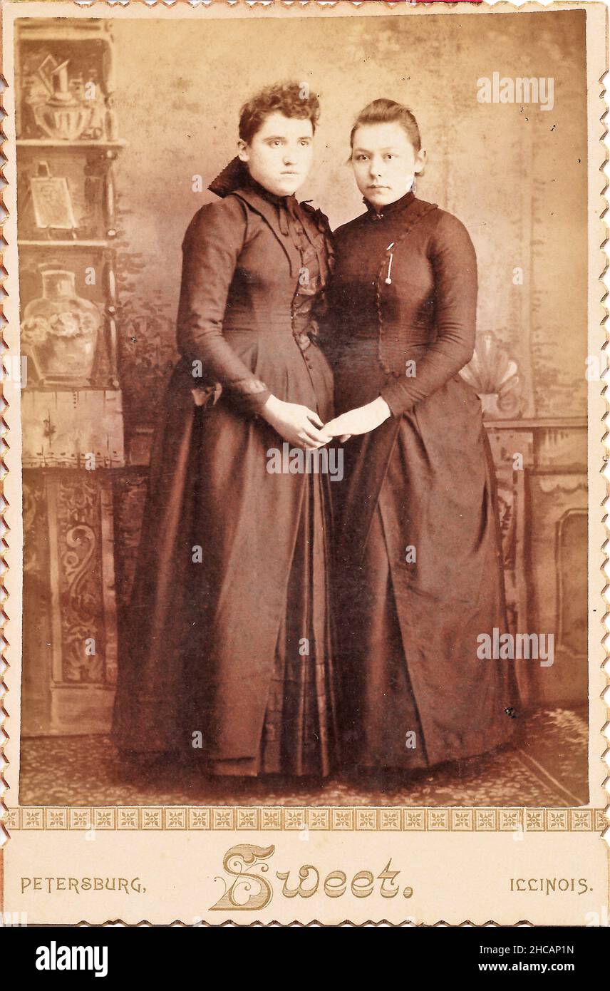 vintage, retro, old, photograph, century, botany, graphics, antique ...