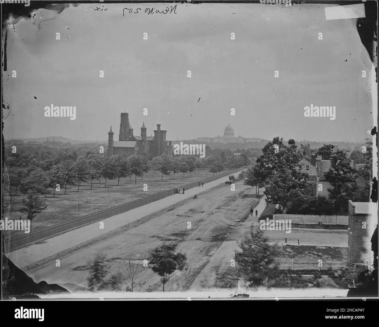 vintage, retro, old, photograph, century, botany, graphics, antique ...