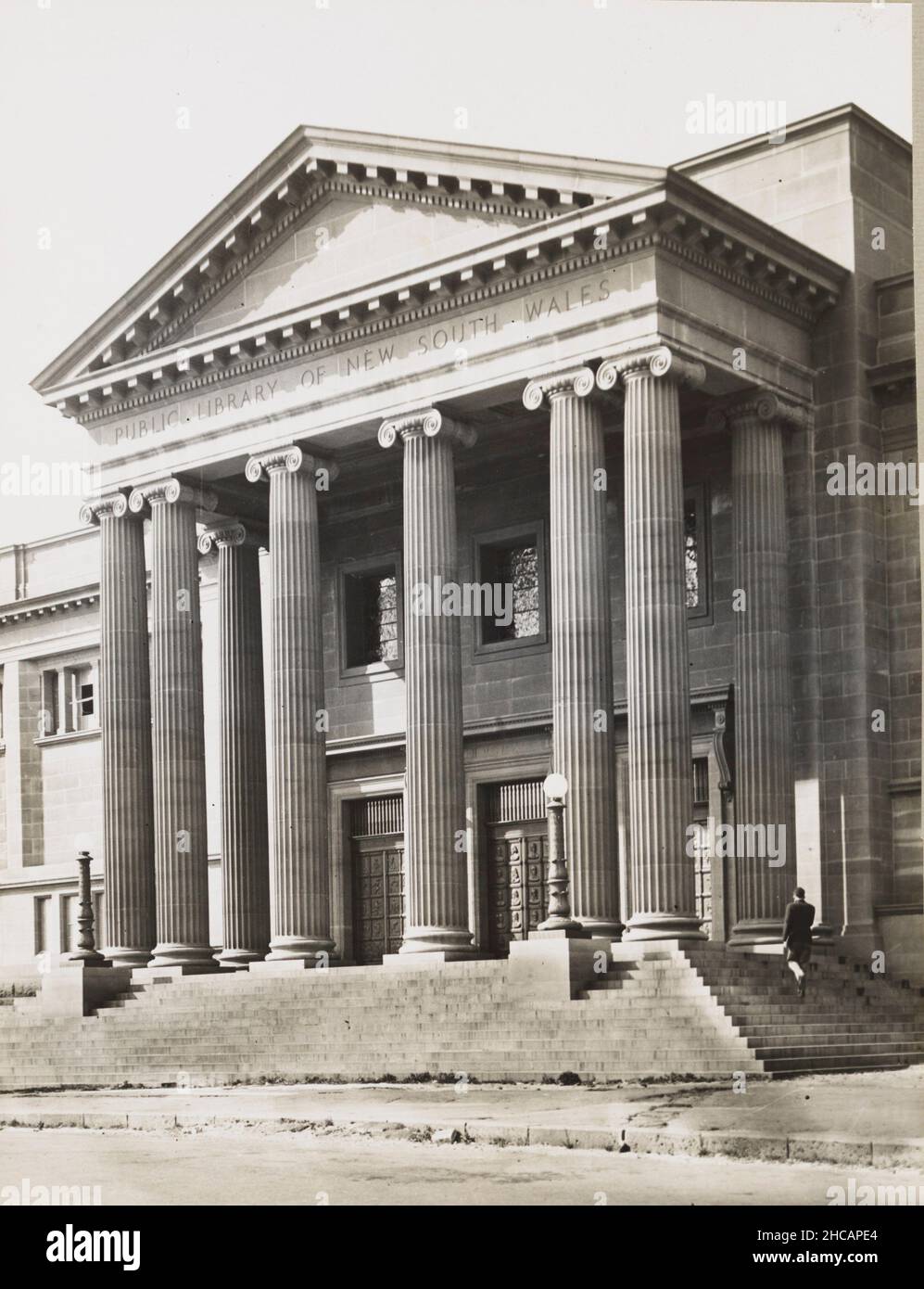 vintage, retro, old, photograph, century, botany, graphics, antique ...