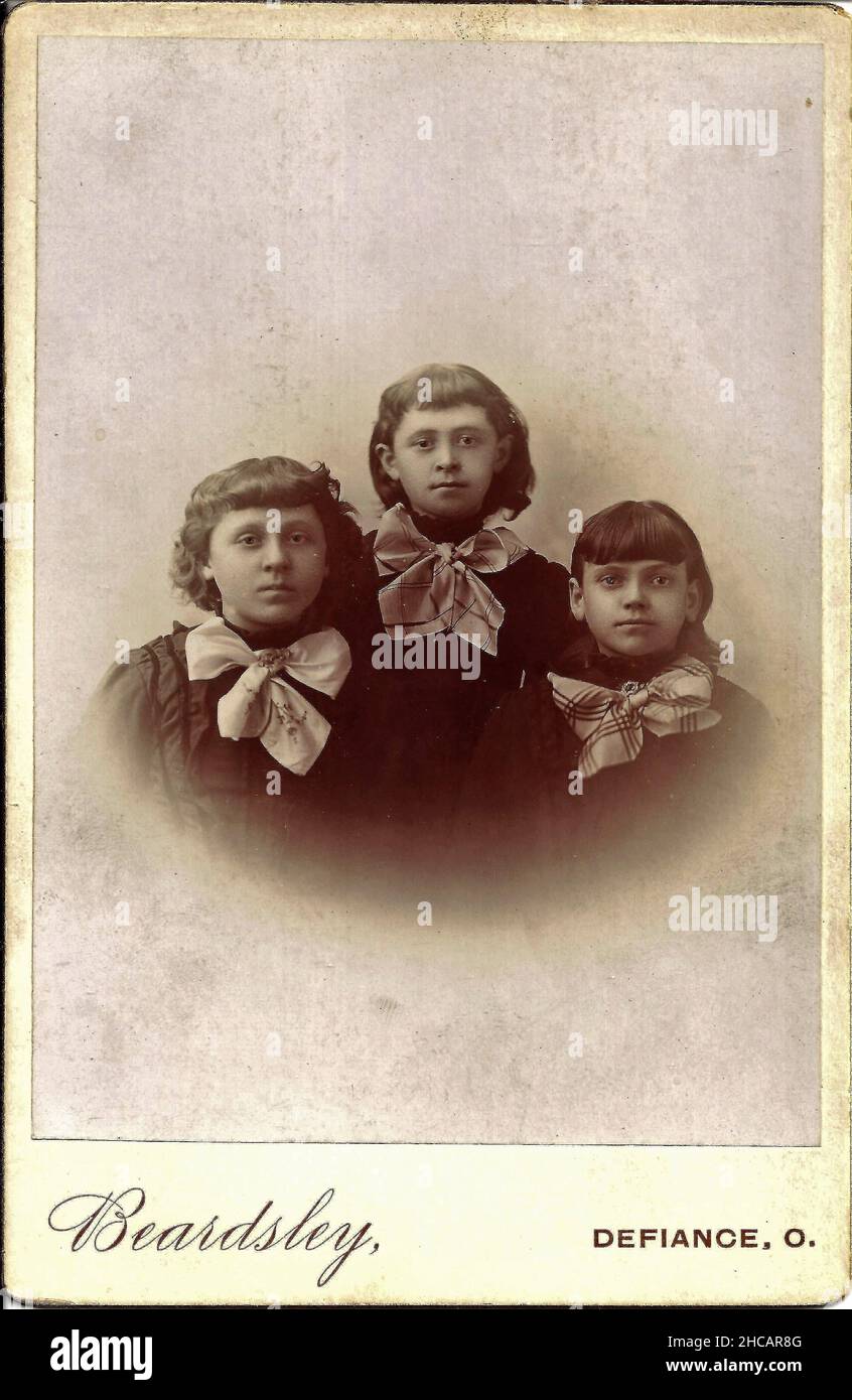vintage, retro, old, photograph, century, botany, graphics, antique ...