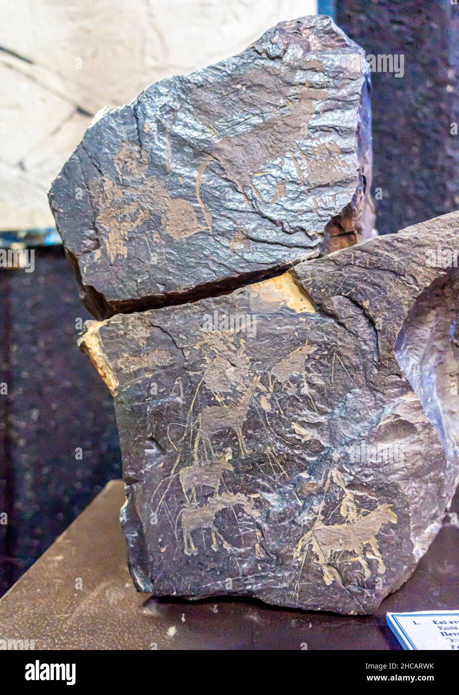 Petroglyph depicting herd of horses and two riders, bronze age, stone ...