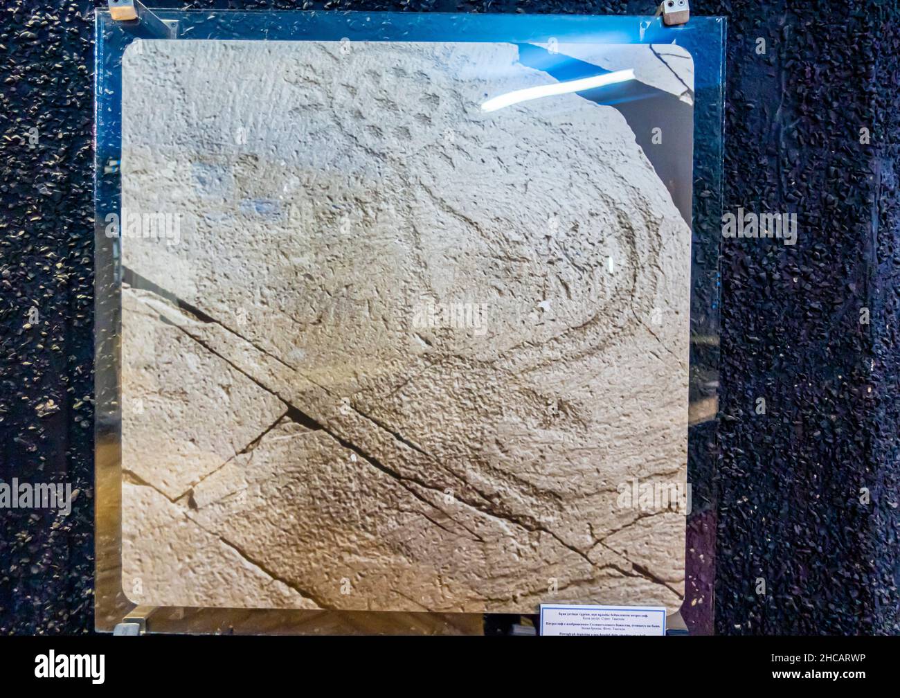 Petroglyph depicting a sun-headed deity standing on a bull, bronze age ...