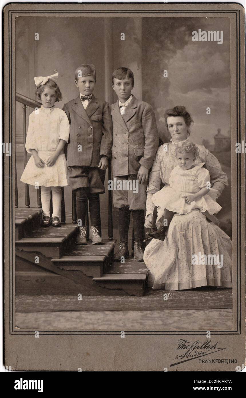 vintage, retro, old, photograph, century, botany, graphics, antique ...