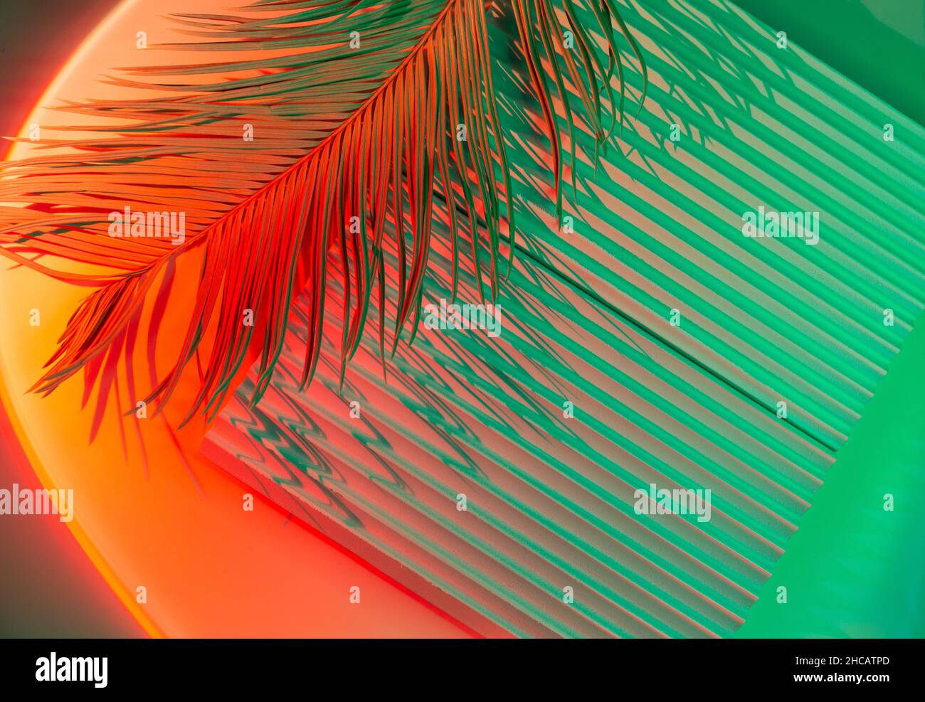 Palm tree leaves on abstract background with podiums in neon light ...