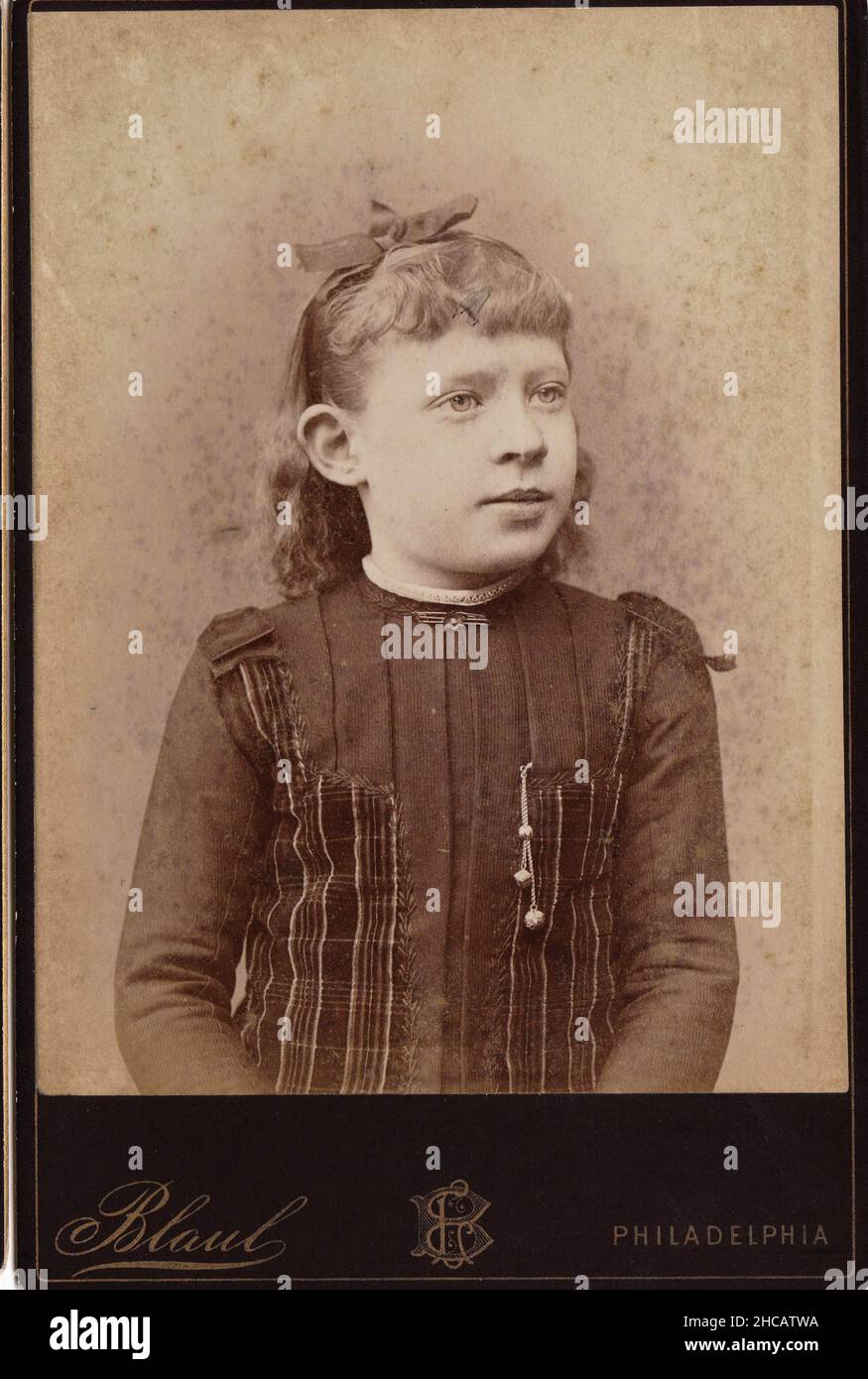 vintage, retro, old, photograph, century, botany, graphics, antique ...