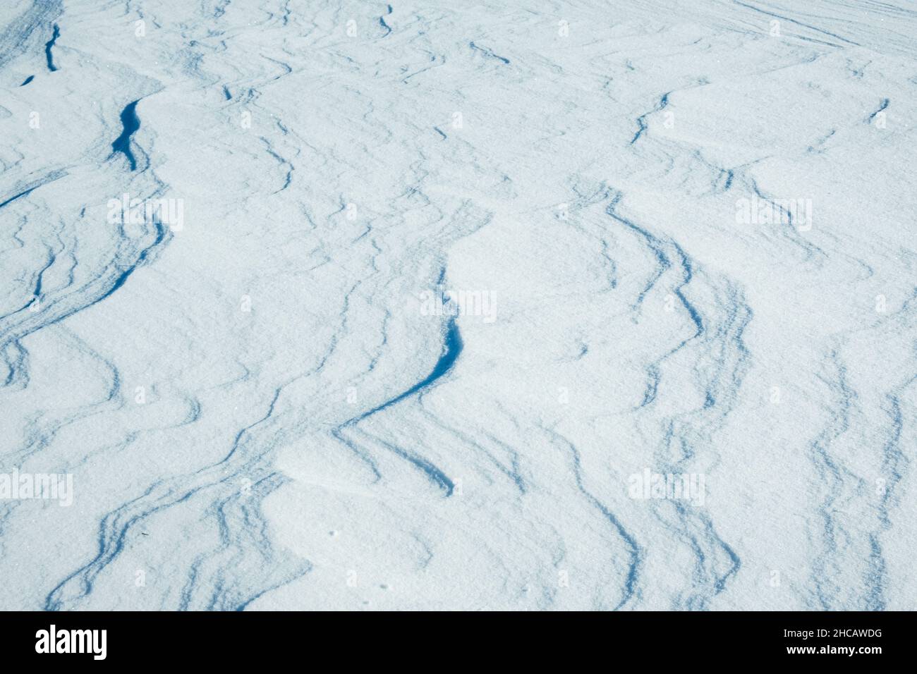 Snow texture with snow waves. Winter nature background Stock Photo - Alamy